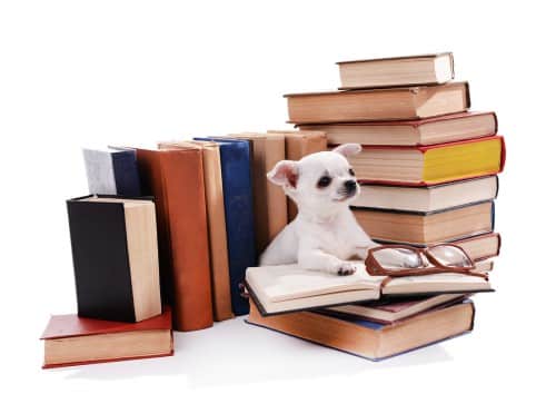 The Extended Essay Step-By-Step Guide: The Research